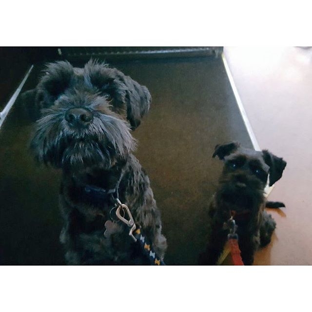 Colin & Rupert at the Pittodrie bar in Aberdeen (It's Colin's round ...