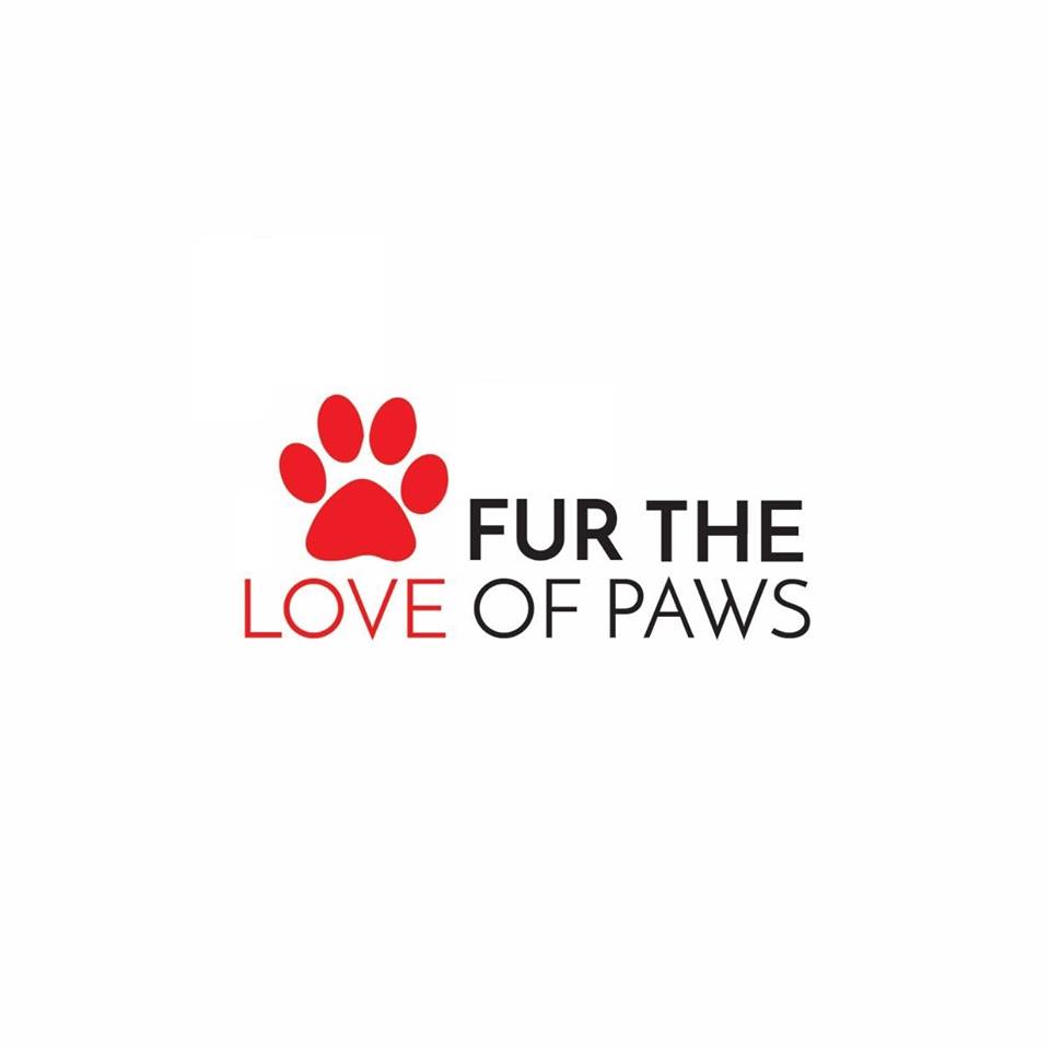 FUR the love of Paws - Dugs n Pubs Dog Friendly Guide