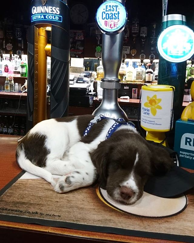 Look at the wee sausage! Thanks Laura Smith for your picture... “Wee ...